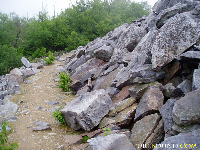 De Monstris - Monstrology: The Tonnage Rat: Rockslide Fixers of the ...